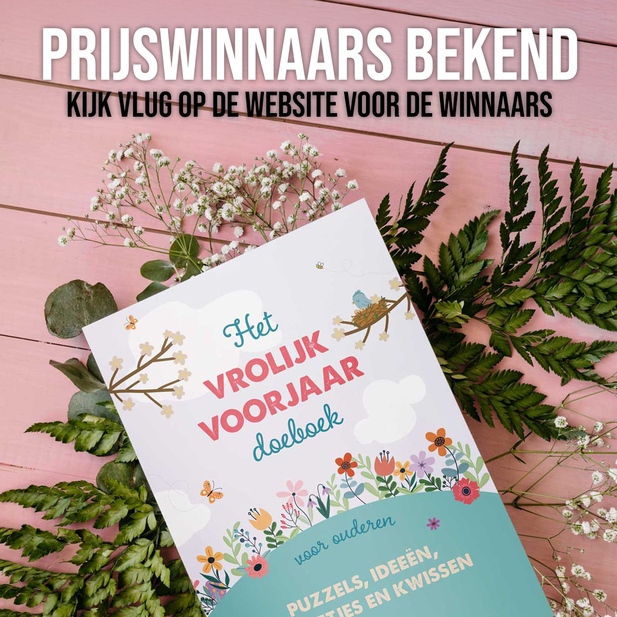 Prijswinnaars | Puzzelprijzen.nl